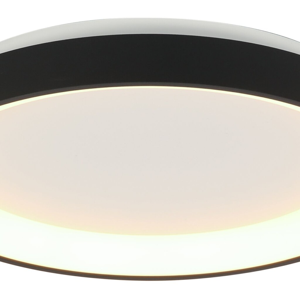 Lámpara de Techo LED Redonda Negra Moderna Steinhauer Ringlede blanco y ...