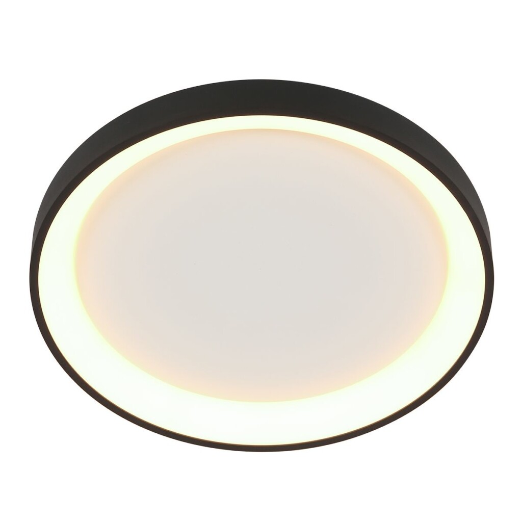 Lámpara de Techo LED Redonda Negra Moderna Steinhauer Ringlede blanco y ...